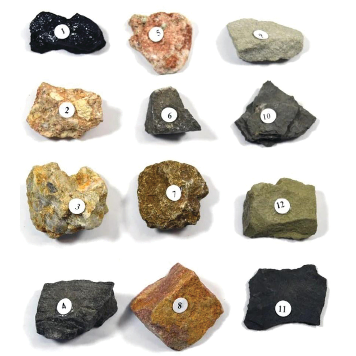 Sedimentary Rock Kit – Eduzone Ltd