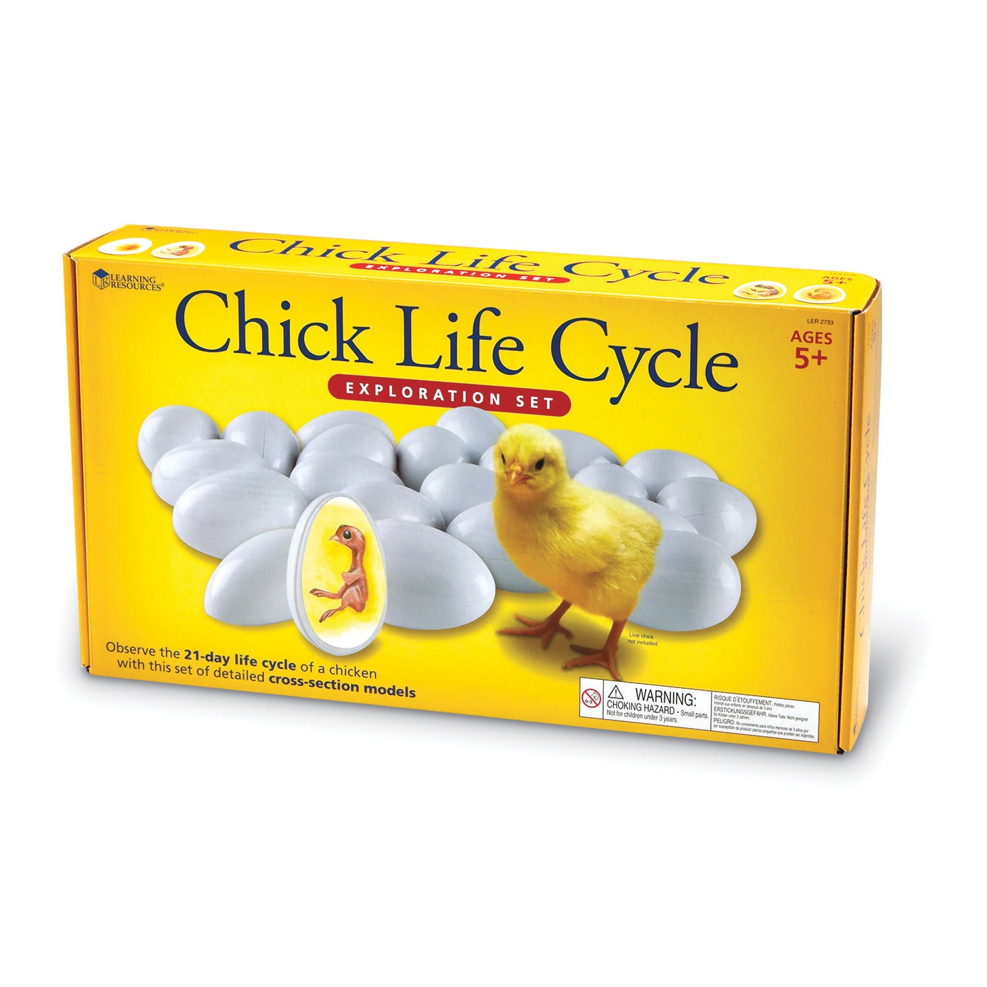 Learning Resources Chick Life Cycle Exploration Set – Eduzone Ltd