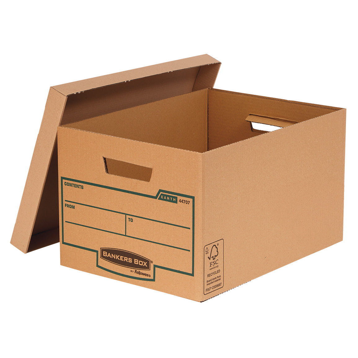 Fellowes® Earth Series Storage Box – Eduzone Ltd