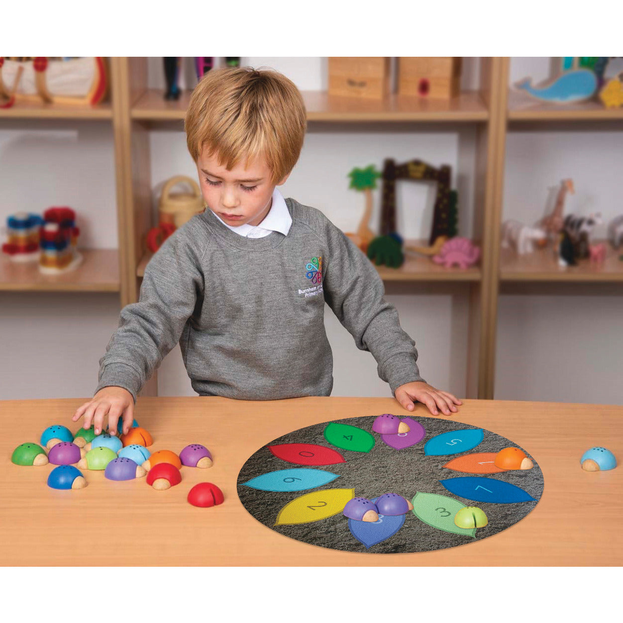 Ladybird & Leaf Sorting Mat – Eduzone Ltd